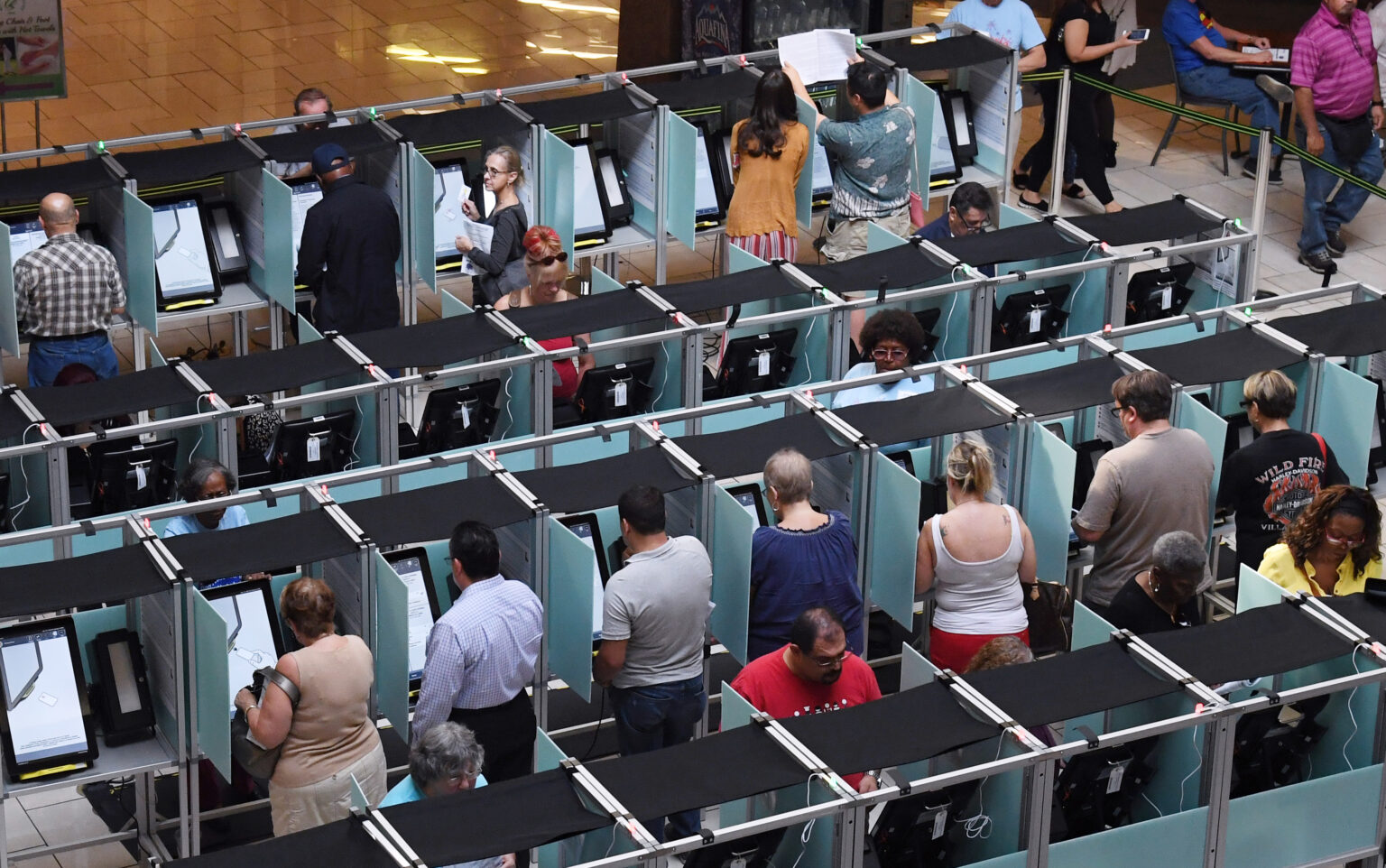 Want to Elect Climate Champions? Here’s How to Tell Who’s Really ...