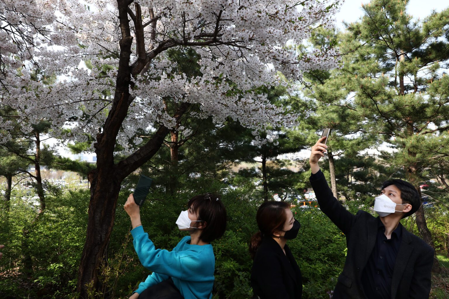 Polar Vortex: How the Jet Stream and Climate Change Bring on Cold Snaps ...
