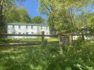 In ‘Silent Spring,’ Rachel Carson Described a Fictional, Bucolic Hamlet ...