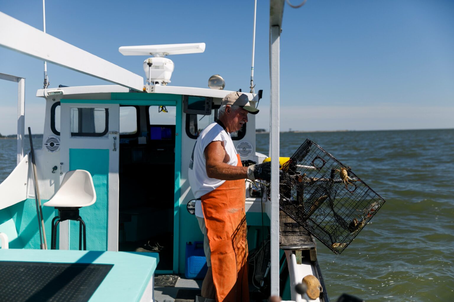 Why the Chesapeake Bay's Beloved Blue Crabs Are at an All-Time Low ...