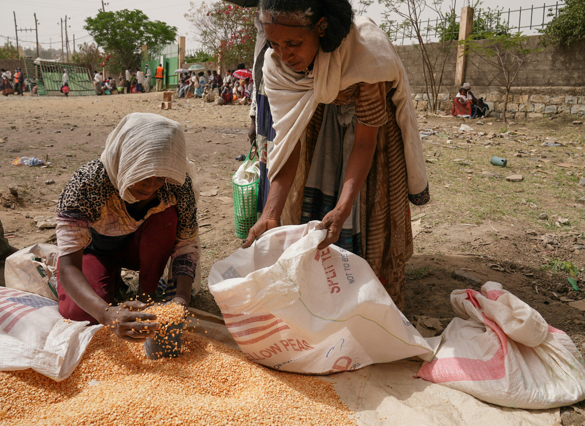 In Africa, Conflict and Climate Super-Charge the Forces Behind Famine ...