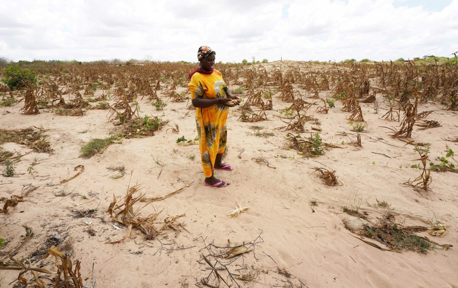 In Africa, Conflict and Climate Super-Charge the Forces Behind Famine ...