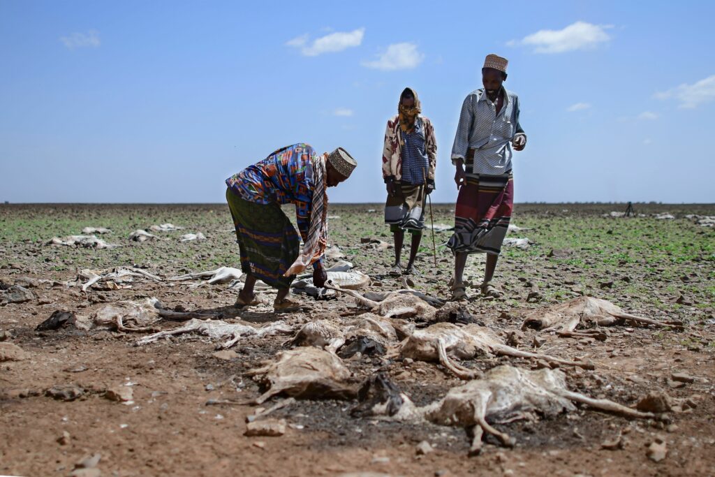 In Africa, Conflict and Climate Super-Charge the Forces Behind Famine ...