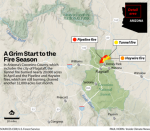 Lack of Loggers Is Hobbling Arizona Forest-Thinning Projects That Could ...
