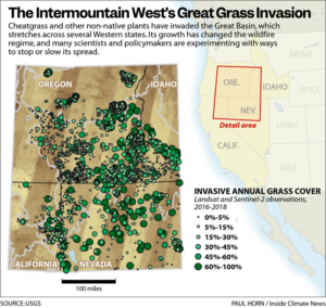 In the US West, Researchers Consider a Four-Legged Tool to Fight Two ...