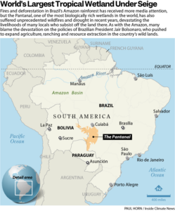 In Brazil, the World’s Largest Tropical Wetland Has Been Overwhelmed ...