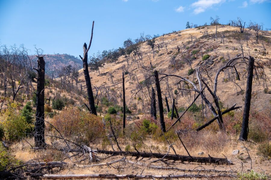 Mobile Homes, the Last Affordable Housing Option for Many California ...