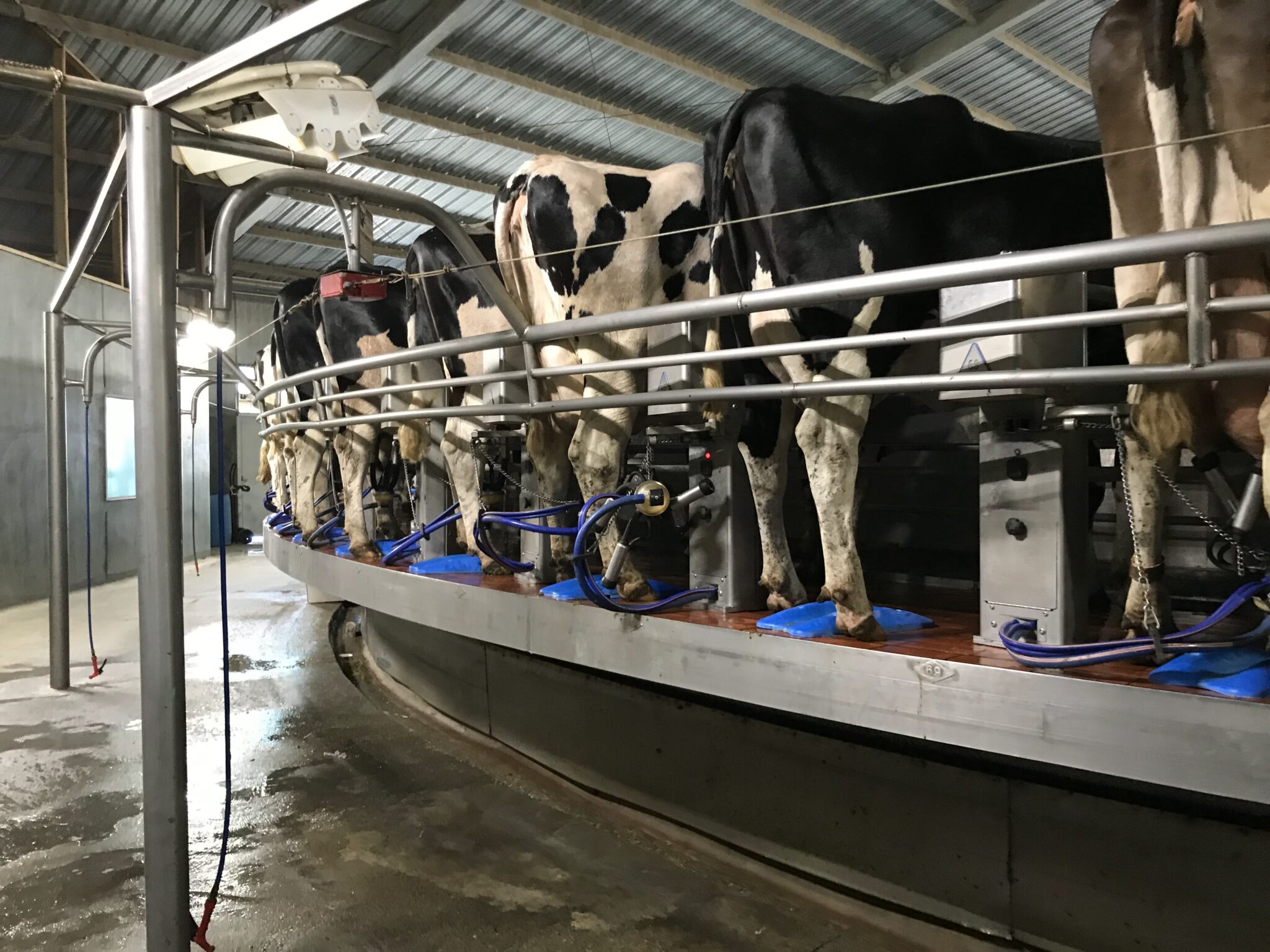 California Has Provided Incentives For Methane Capture At Dairies But California Has Provided Incentives For Methane Capture At Dairies But
