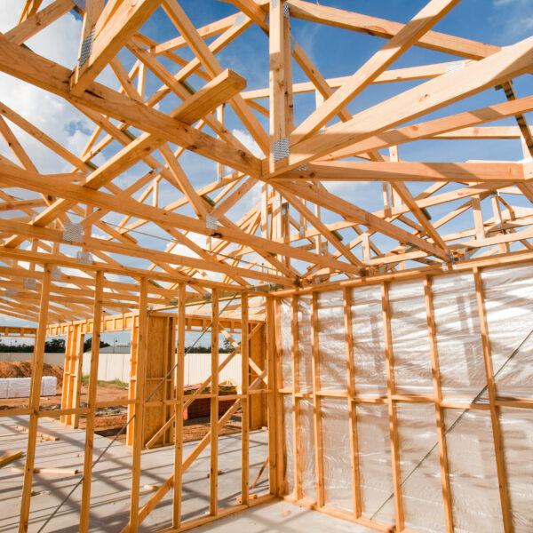 Researchers at Michigan Tech Want to Create a High-Tech Wood Product ...