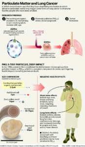 Lung Cancer in Nonsmokers? Study Identifies Air Pollution as a Trigger ...