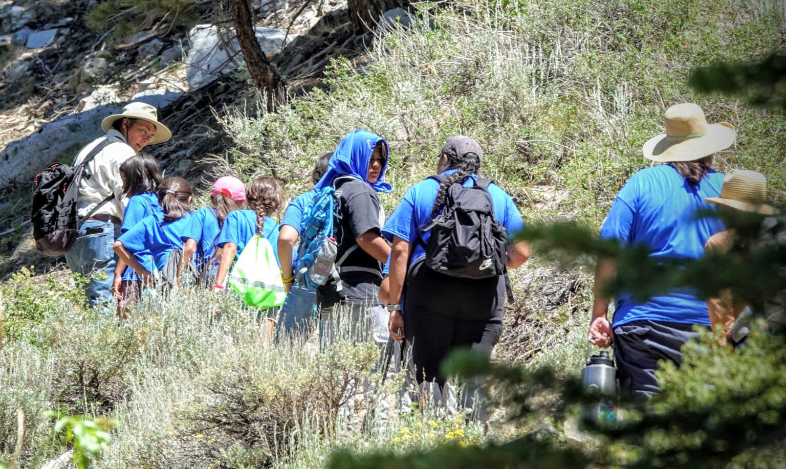 How Decades of Hard-Earned Protections and Restoration Reversed the ...