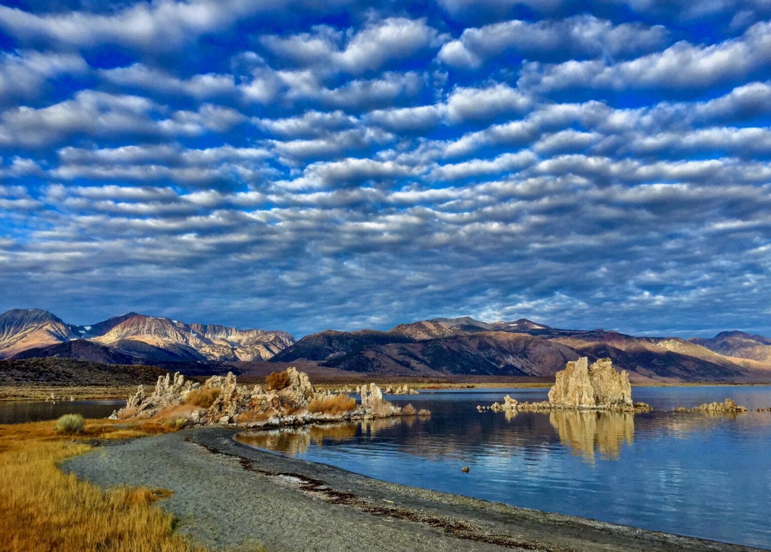 How Decades of Hard-Earned Protections and Restoration Reversed the ...