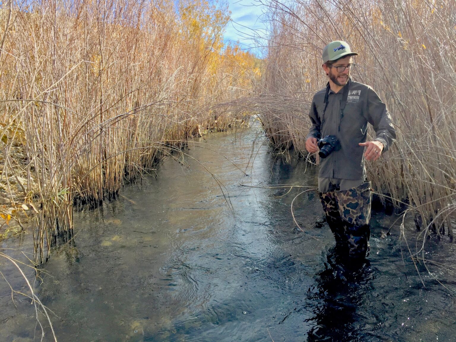 How Decades of Hard-Earned Protections and Restoration Reversed the ...
