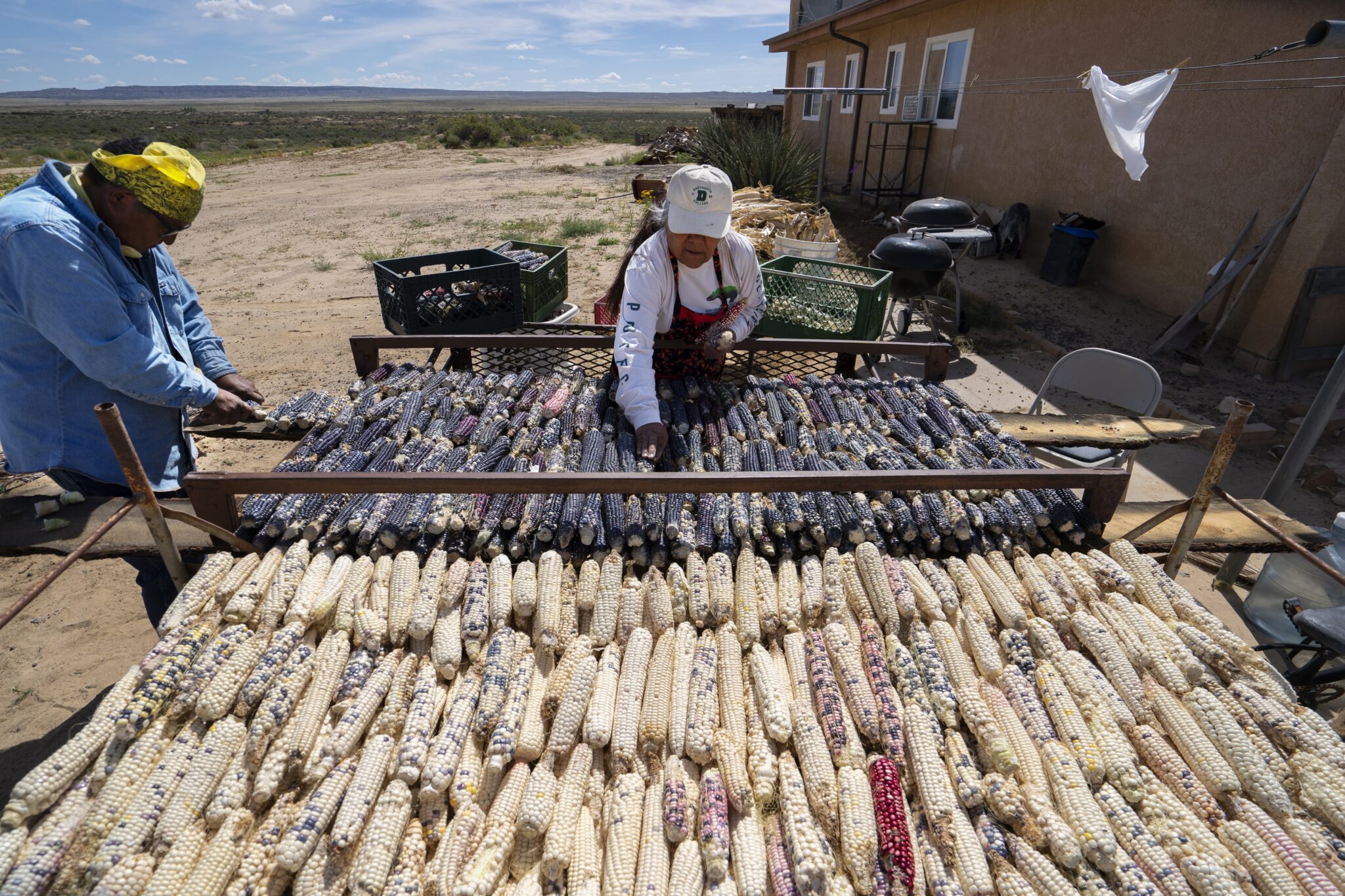 Corn Nourishes the Hopi Identity, but Climate-Driven Drought Is ...