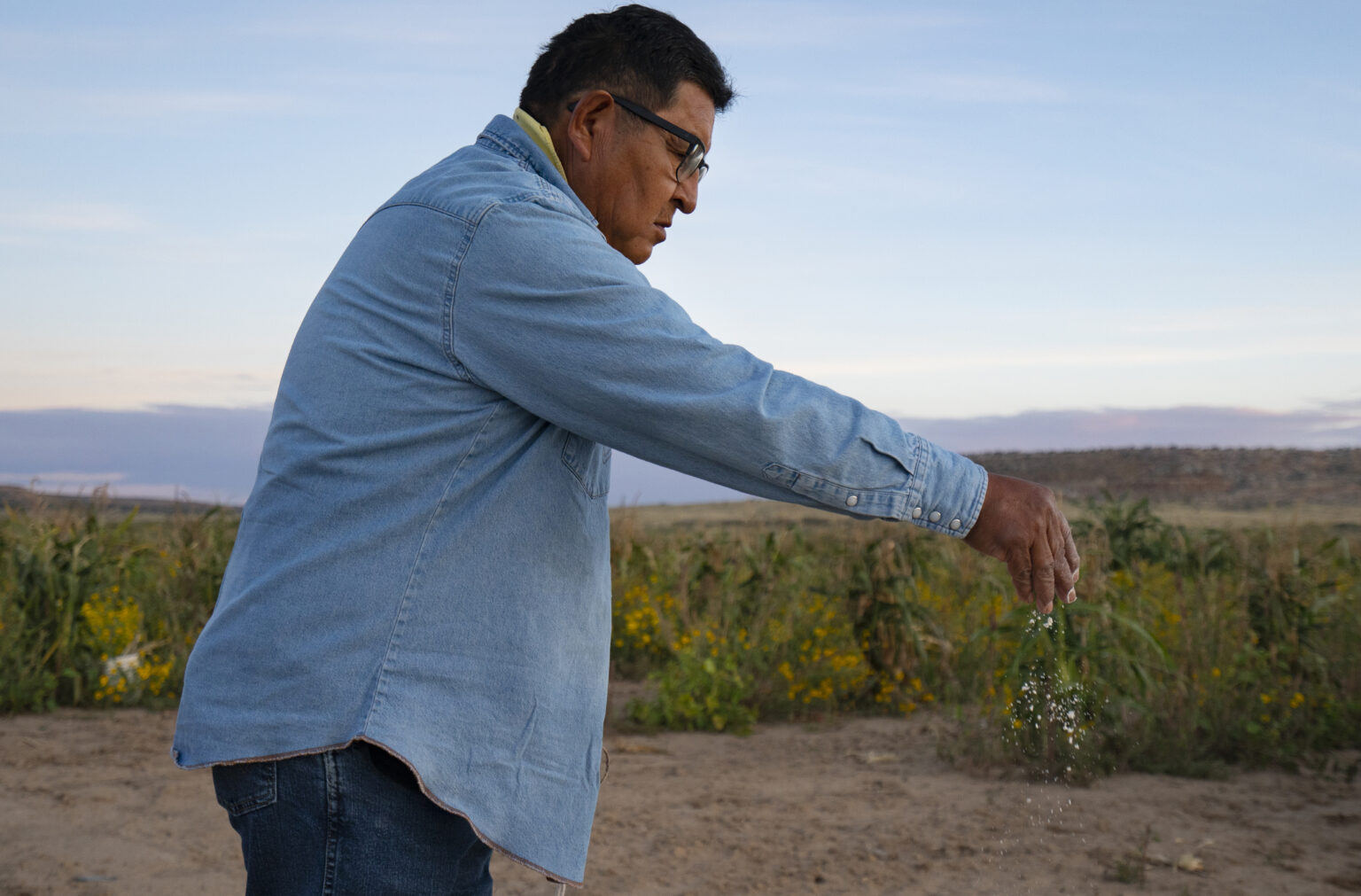 Corn Nourishes the Hopi Identity, but Climate-Driven Drought Is ...