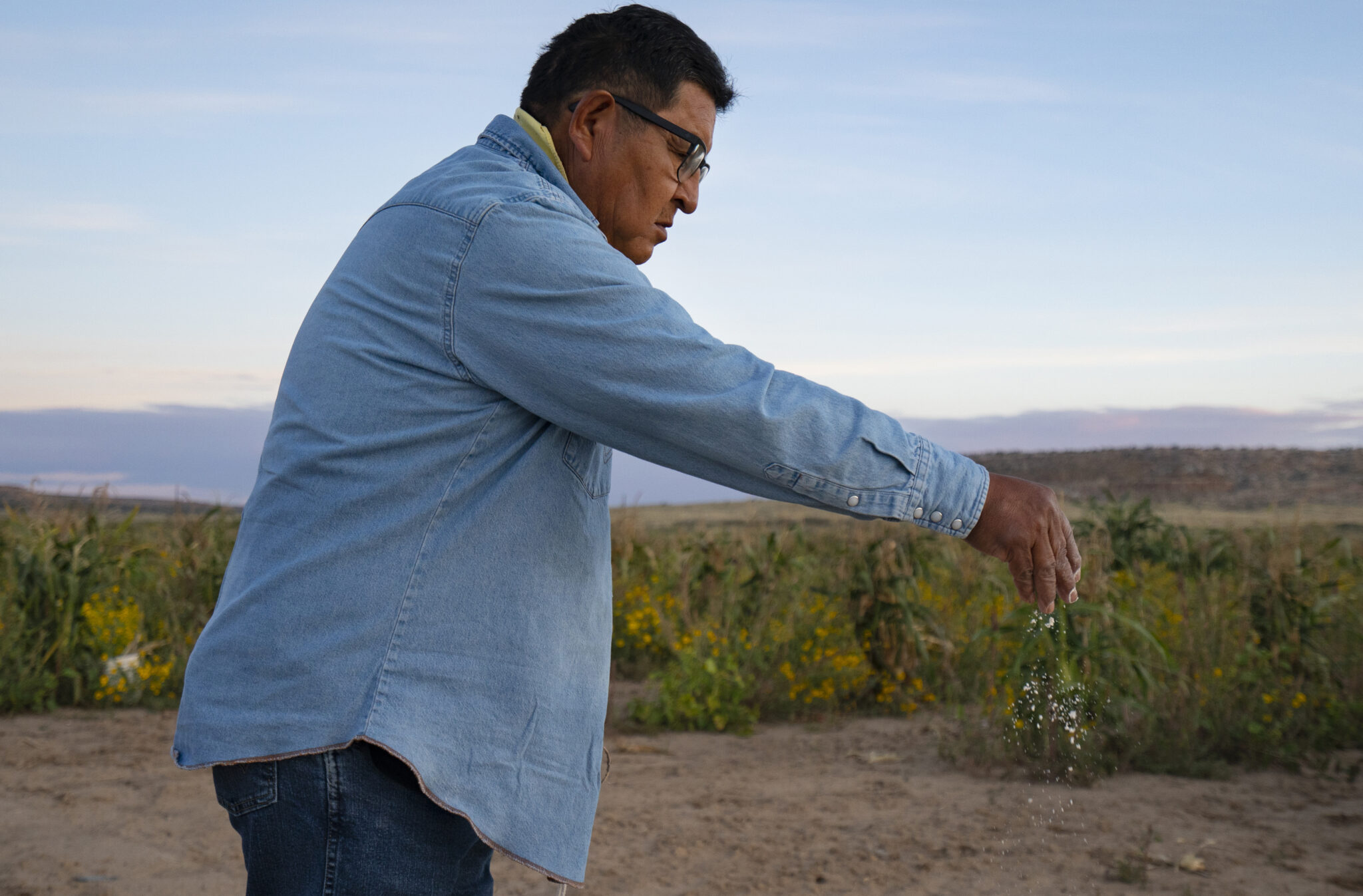 Corn Nourishes the Hopi Identity, but Climate-Driven Drought Is ...