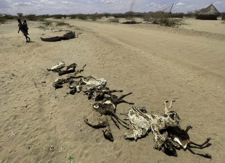 Climate Change is Driving Millions to the Precipice of a 'Raging Food ...