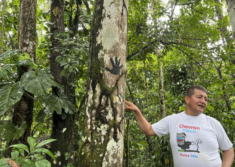 Their Lives Were Ruined by Oil Pollution, and a Court Awarded Them $9.5 ...