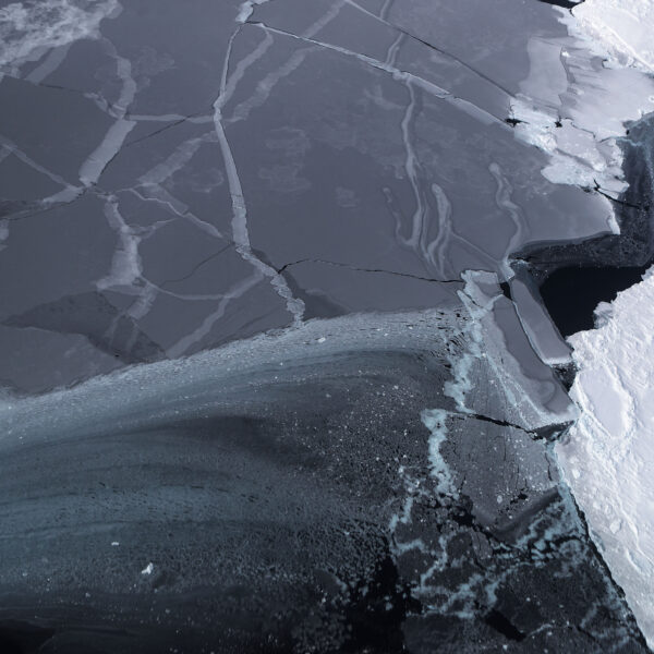 Scientists Report a Dramatic Drop in the Extent of Antarctic Sea Ice ...