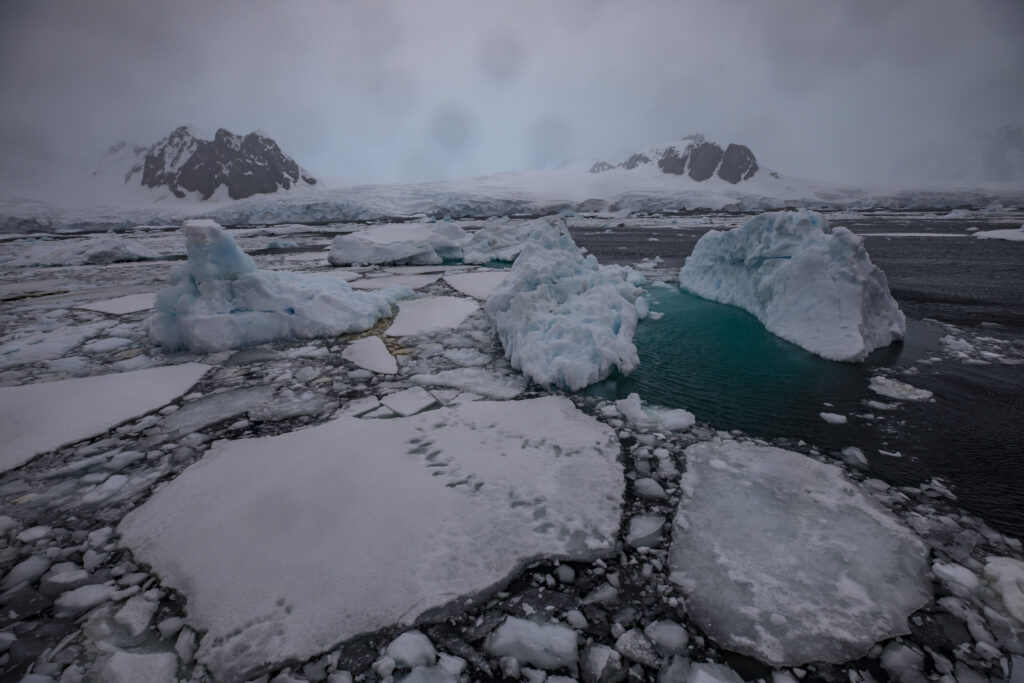 Scientists Report a Dramatic Drop in the Extent of Antarctic Sea Ice ...