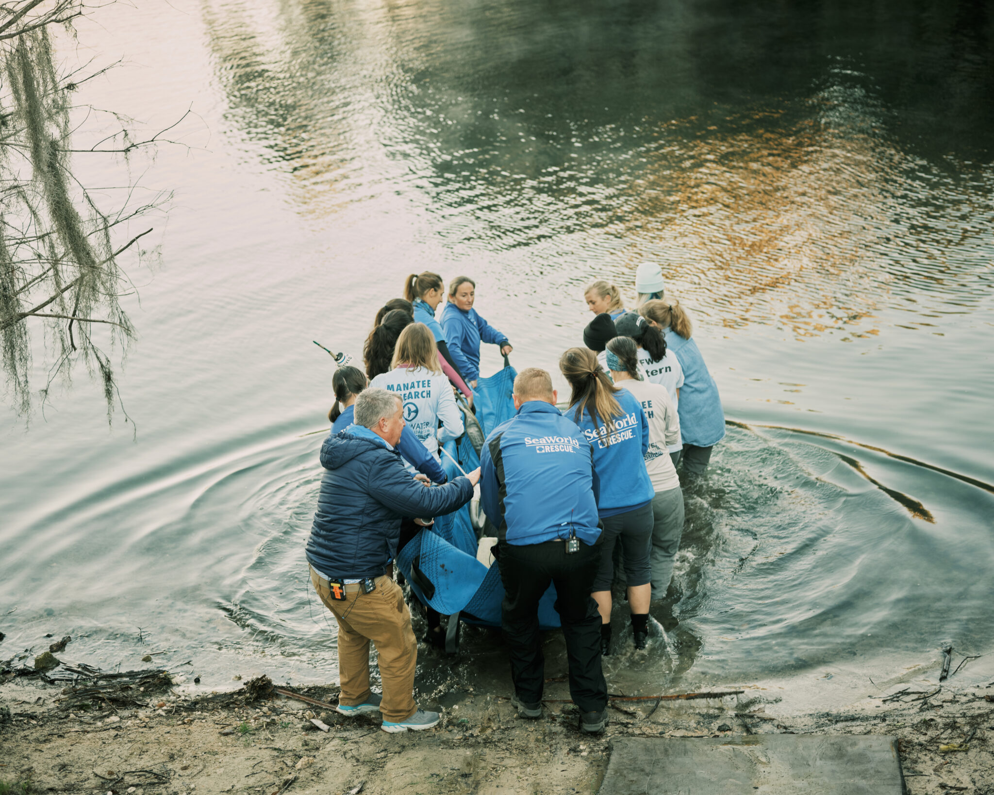 Nursing Florida’s Ailing Manatees Back to Health - Inside Climate News