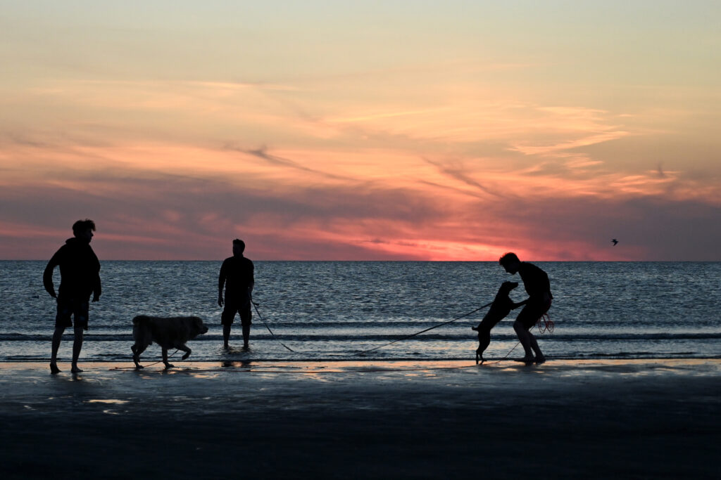 What Denmark’s North Sea Coast Can Teach Us About the Virtues of ...