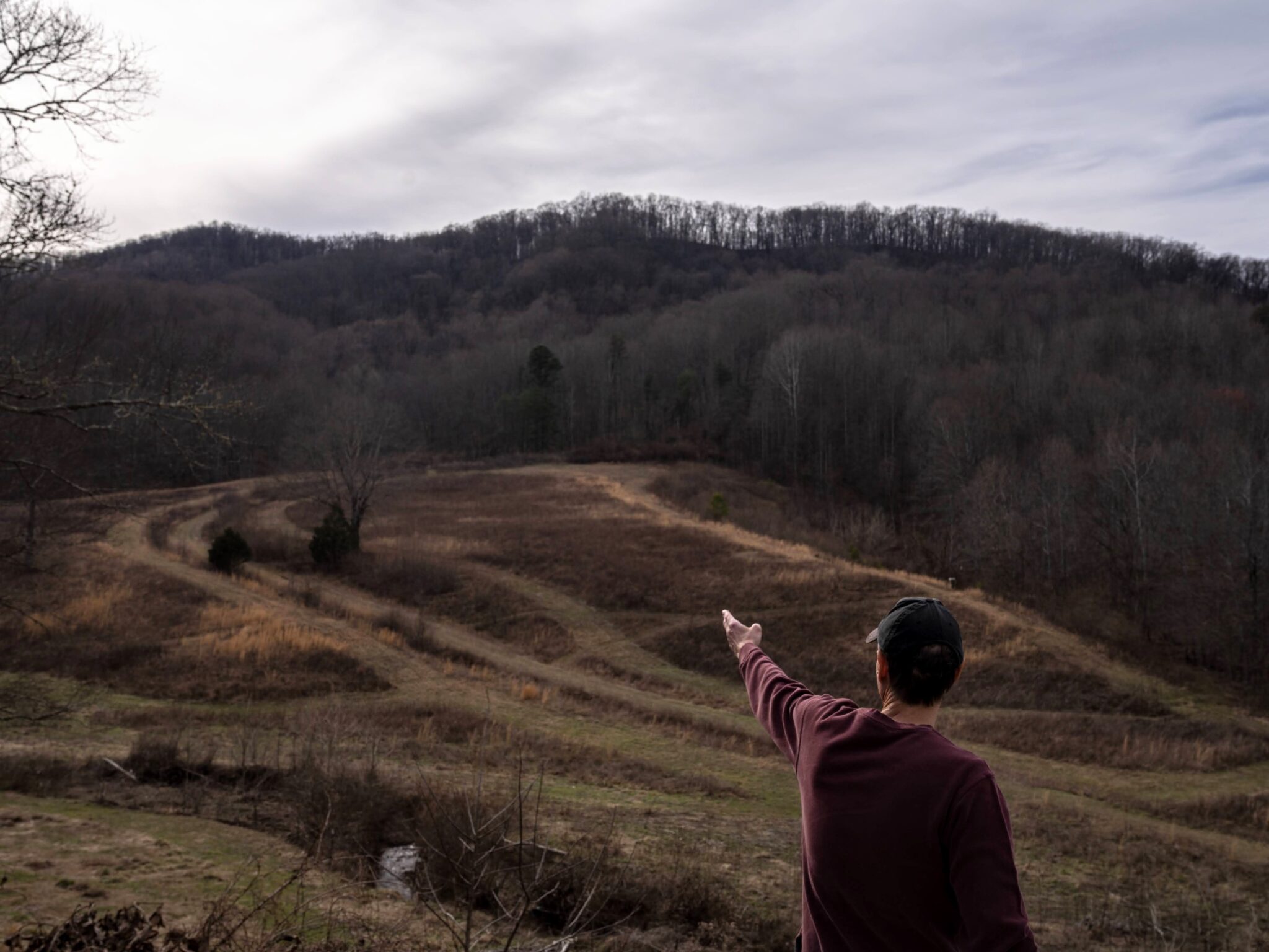 Kentucky Residents Angered by US Forest Service Logging Plan That ...