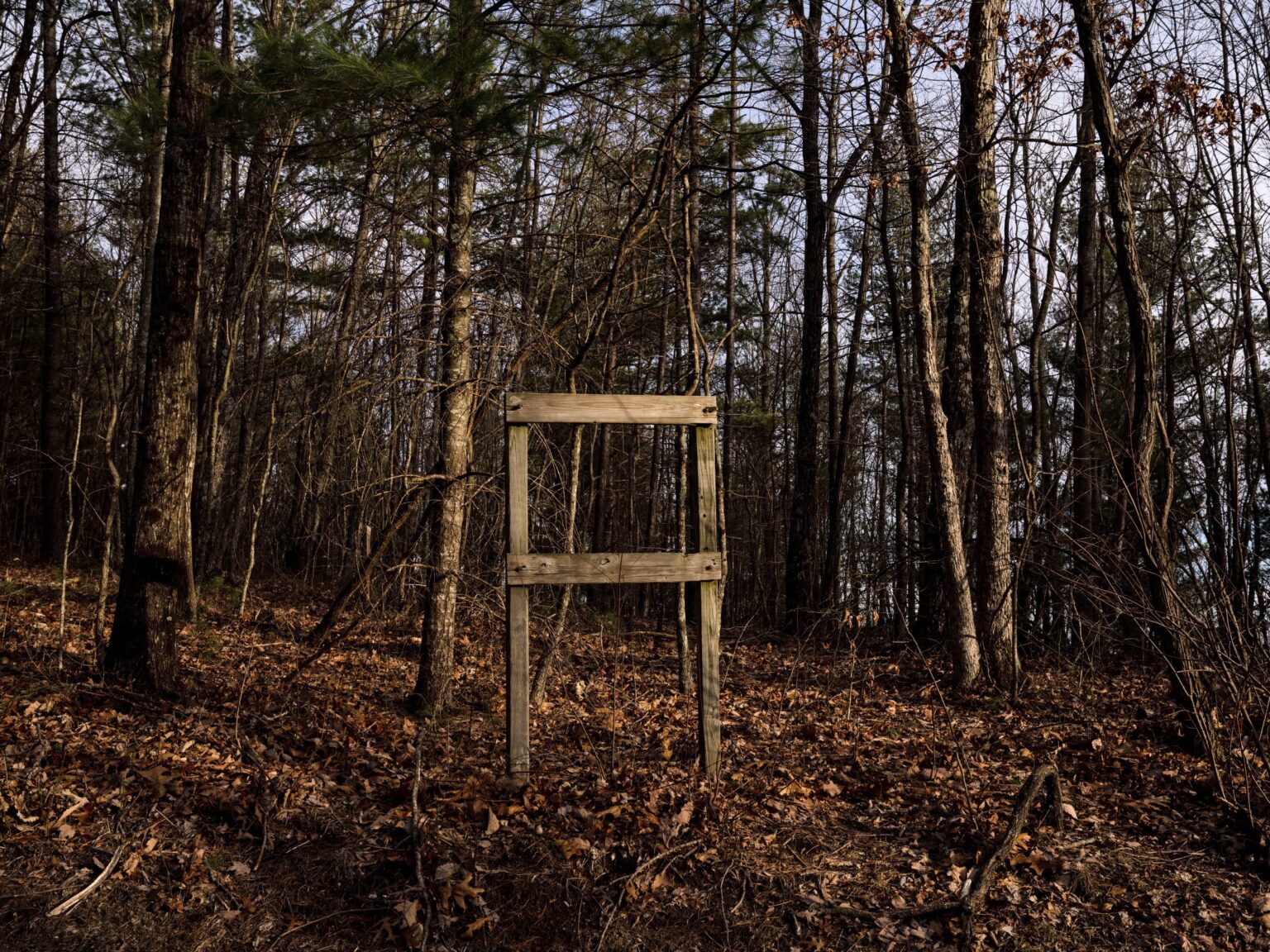 Kentucky Residents Angered by US Forest Service Logging Plan That ...