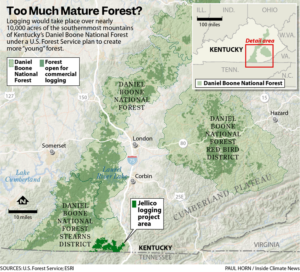 Kentucky Residents Angered by US Forest Service Logging Plan That ...