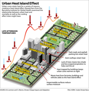 To Reduce Mortality From High Heat in Cities, a New Study Recommends ...