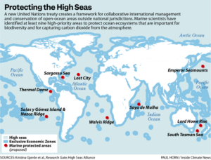 Can the New High Seas Treaty Help Limit Global Warming? - Inside ...