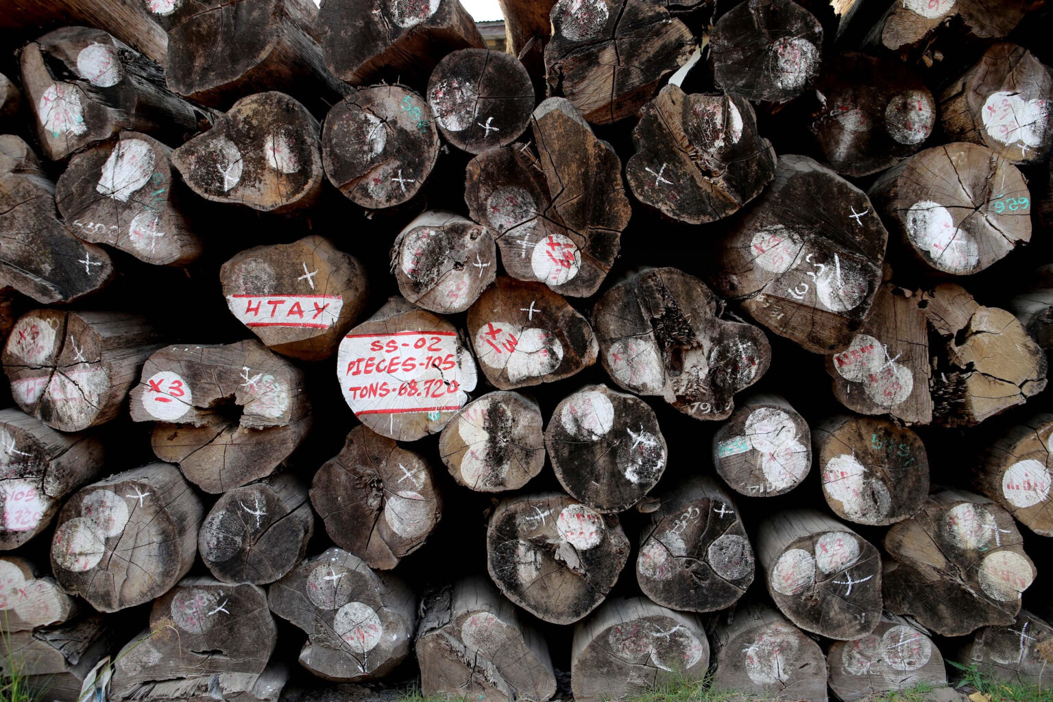 Western Firms Certified as Socially Responsible Trade in Myanmar Teak ...