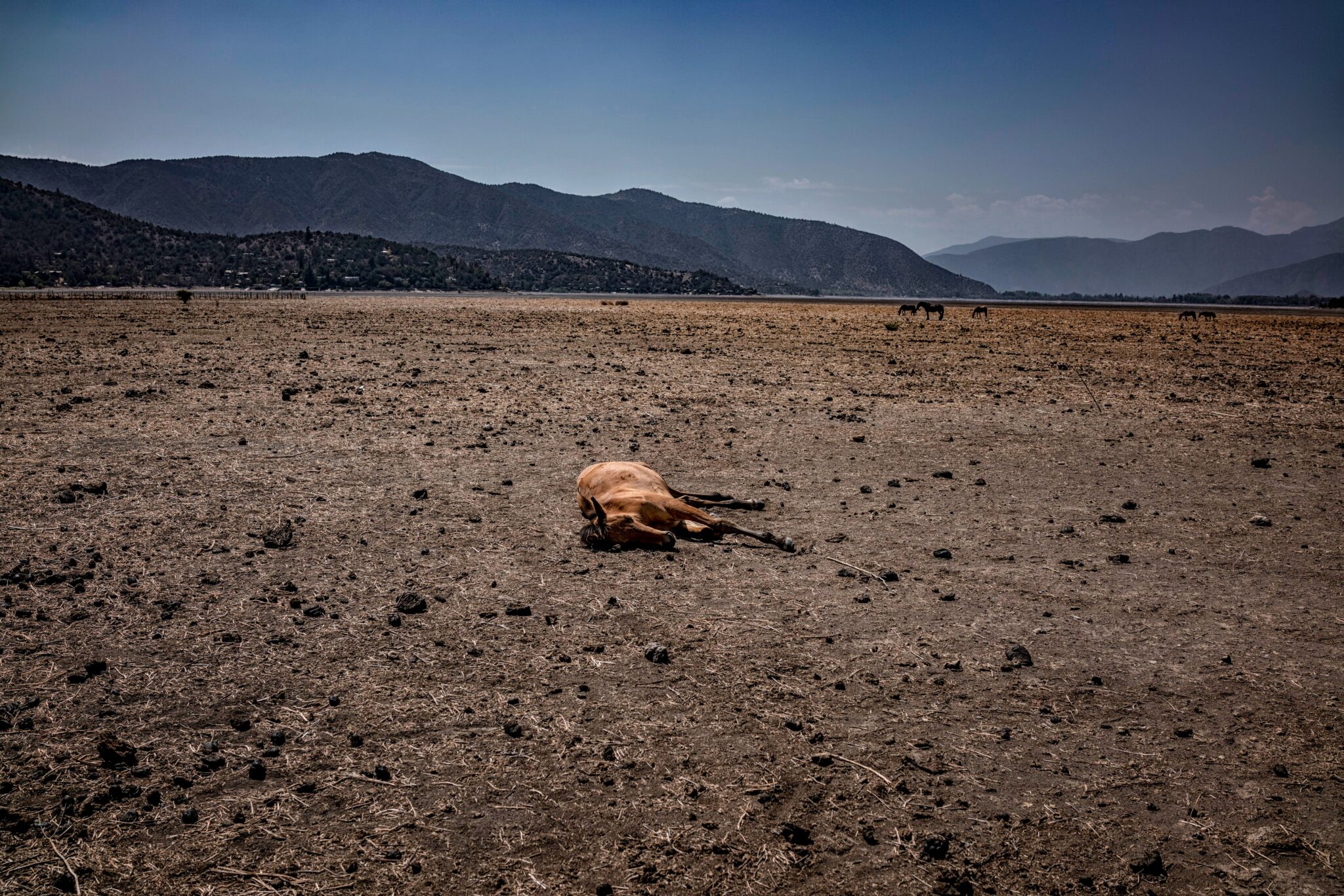 More Than a Decade of Megadrought Brought a Summer of Megafires to ...