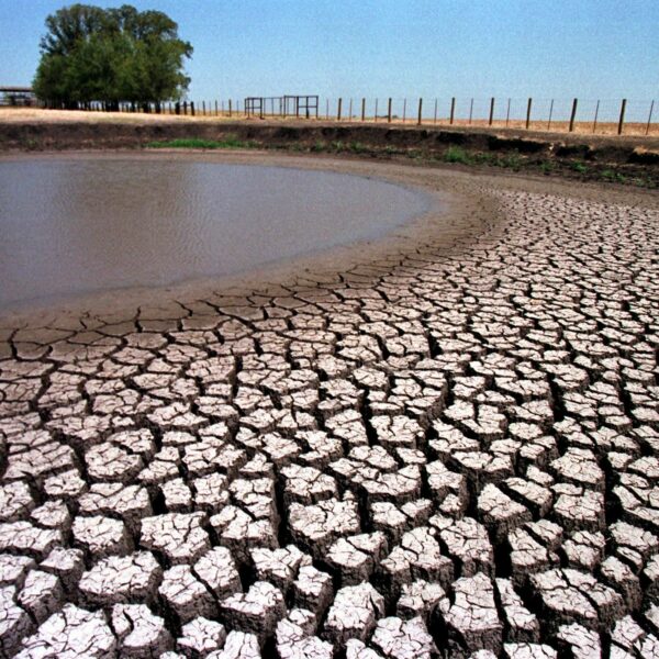 Operator Error Caused 400,000-Gallon Crude Oil Spill Outside Midland ...