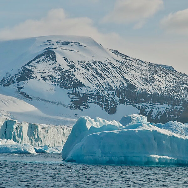 Can Iceberg Surges in the Arctic Trigger Rapid Warming at the Other End ...