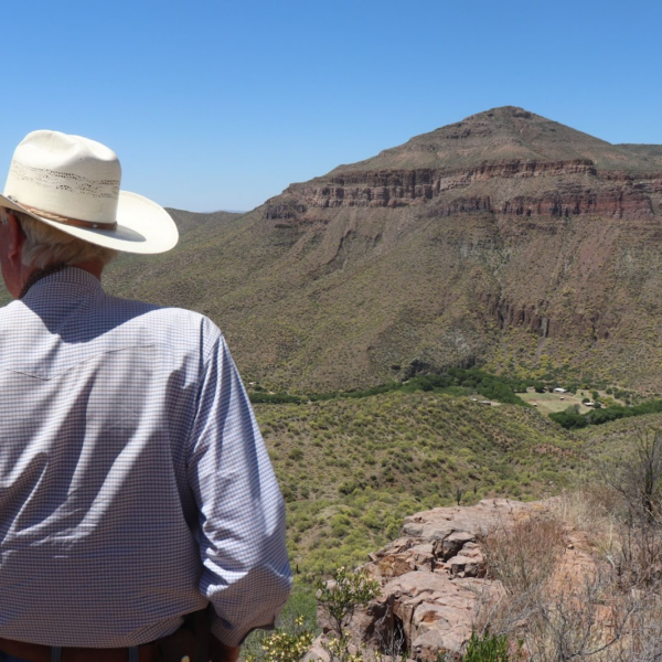 What’s Going On With the Goats of Arizona - Inside Climate News