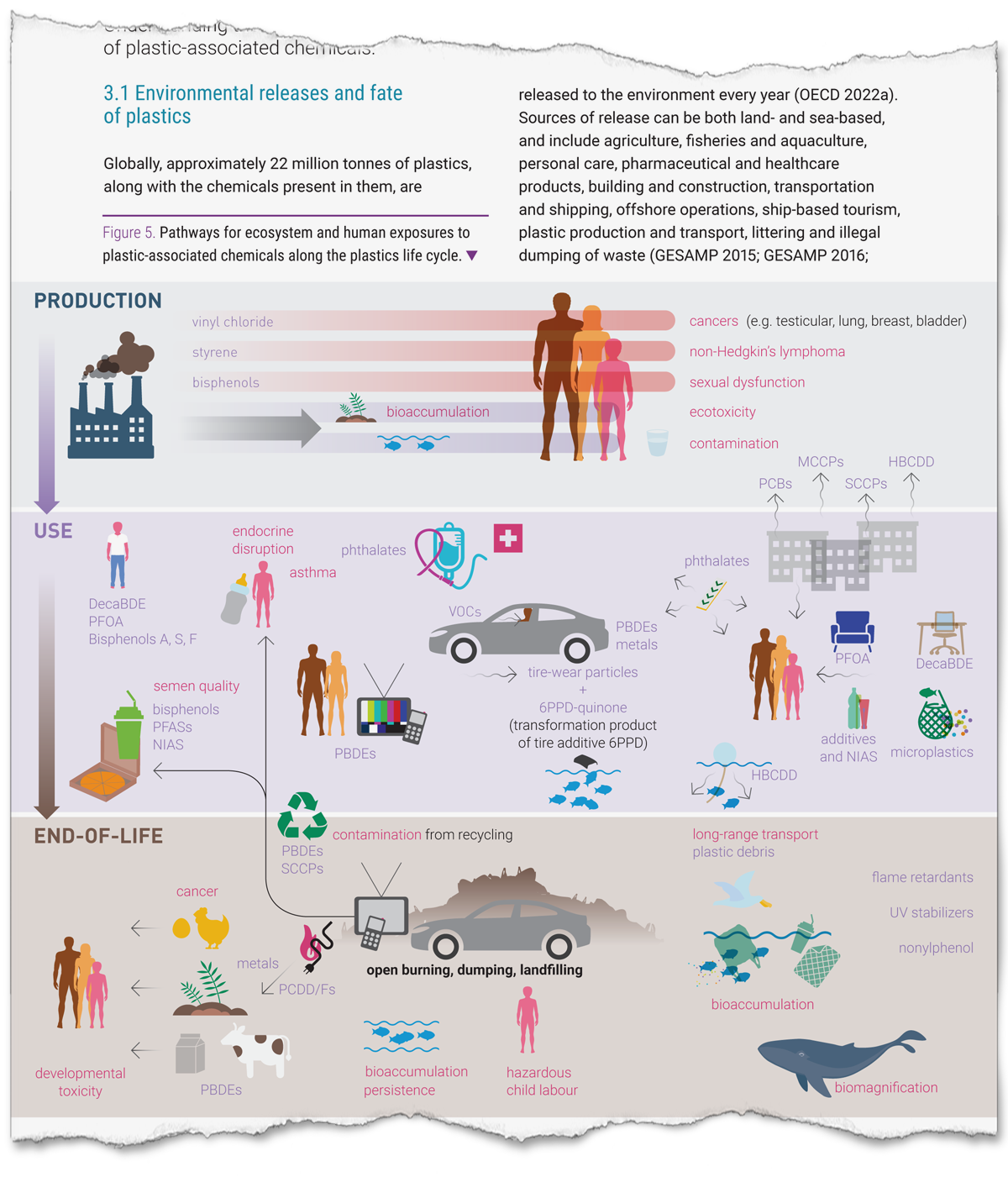 UN Agency Provides Path to 80 Percent Reduction in Plastic Waste ...
