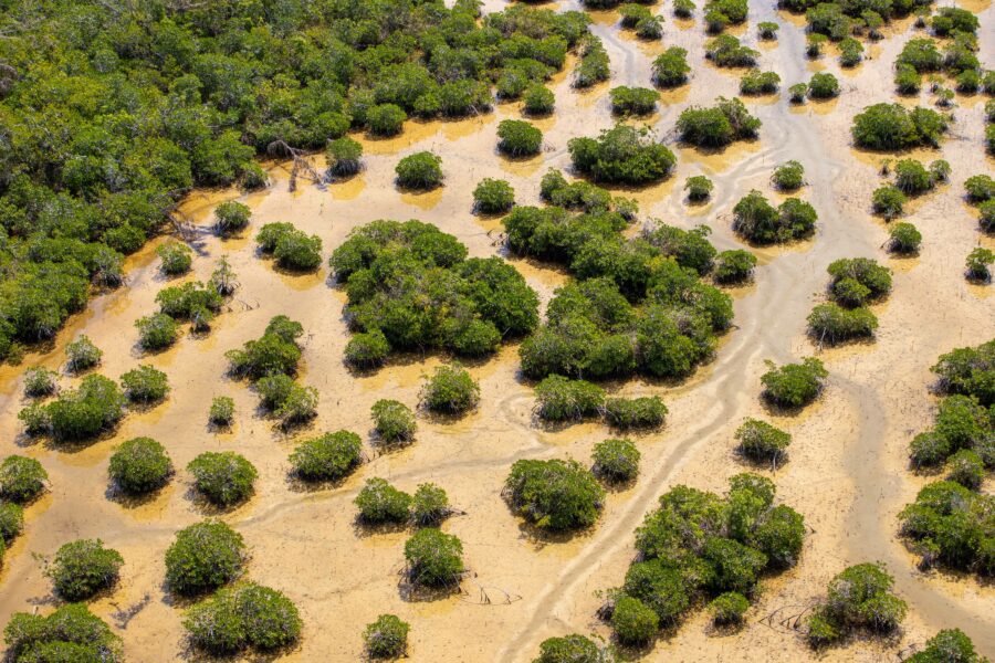 Unrelenting Global Warming Sends Sea Ice to Record Low, As Scientists ...