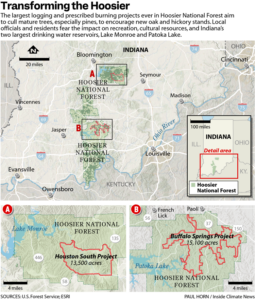 Log and Burn, or Leave Alone? Indiana Residents Fight US Forest Service ...