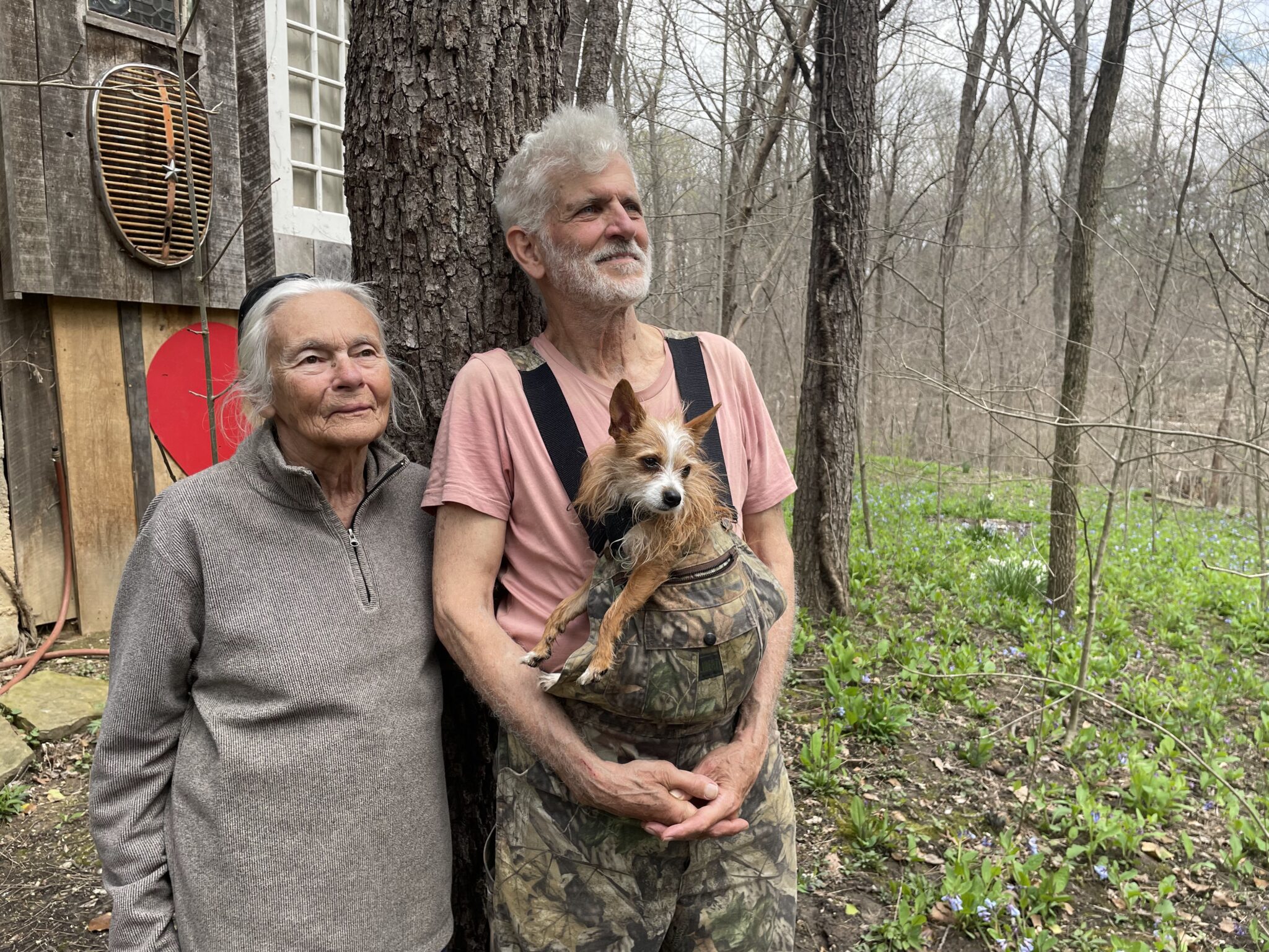 Log and Burn, or Leave Alone? Indiana Residents Fight US Forest Service ...