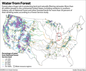 Log and Burn, or Leave Alone? Indiana Residents Fight US Forest Service ...