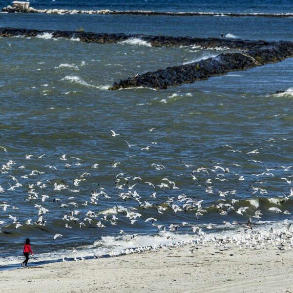 Cleveland Resilience Projects Could Boost Communities’ Access to Water ...