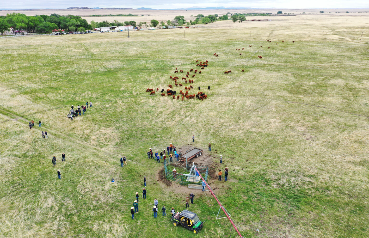 Climate-Smart Cowboys Hope Regenerative Cattle Ranching Can Heal the ...