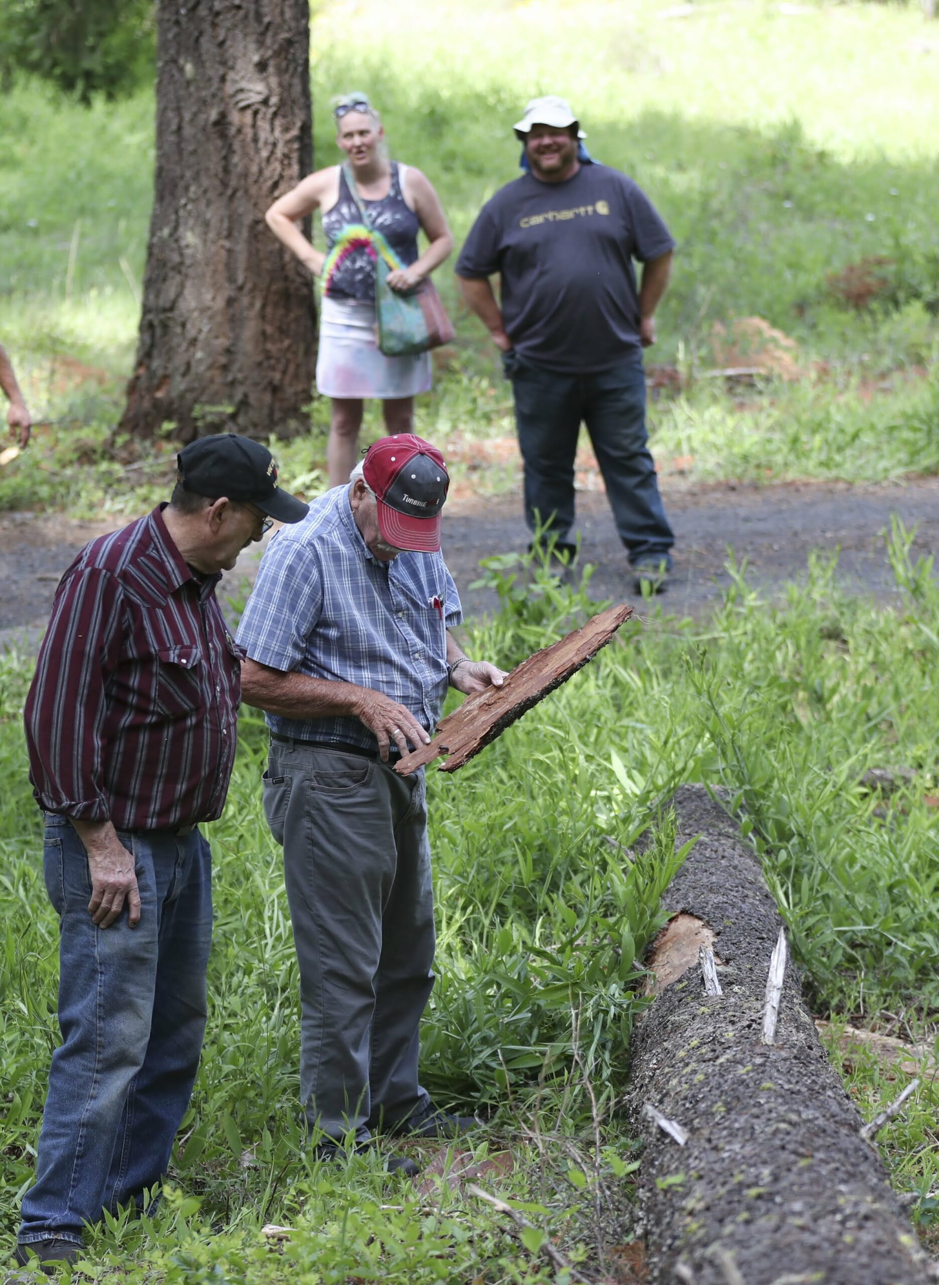 In Oregon Timber Country, a Town Buys the Surrounding Forests to ...
