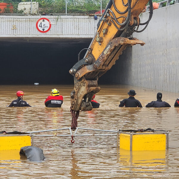 This Summer’s Heatwaves Would Have Been 'Almost Impossible’ Without ...