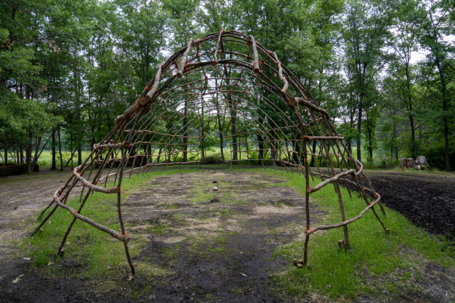 Survival of Wild Rice Threatened by Climate Change, Increased Rainfall ...