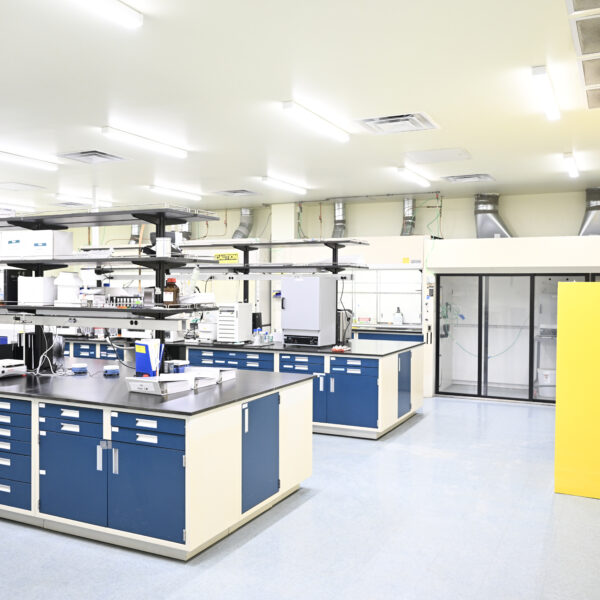 Scientists Find Success With New Direct Ocean Carbon Capture Technology ...