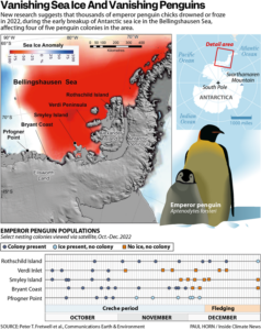 Emperor Penguin Breeding Failure Linked With Antarctic Sea Ice Decline ...