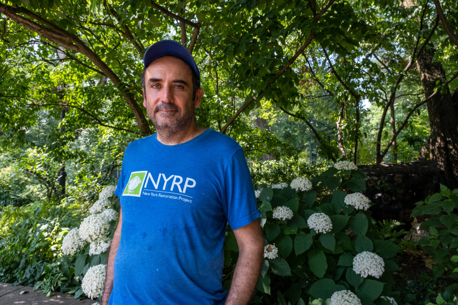 This Northern Manhattan Wetland Has Faced Climate-Change Induced ...