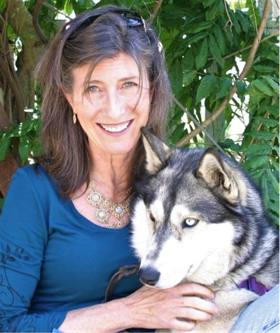 Q&A: How the Wolves’ Return Enhances Biodiversity - Inside Climate News